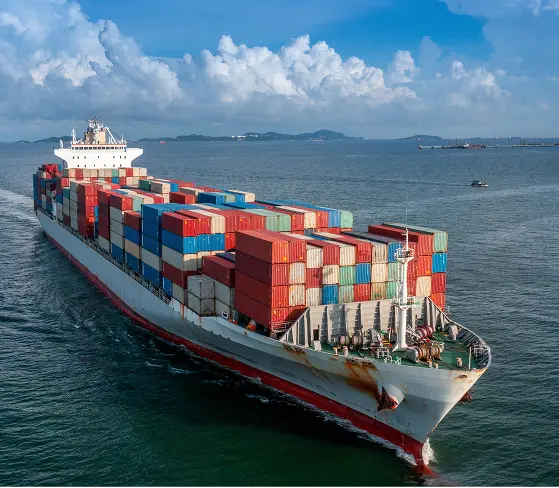 FDA Export Certificate – US Agent Pros